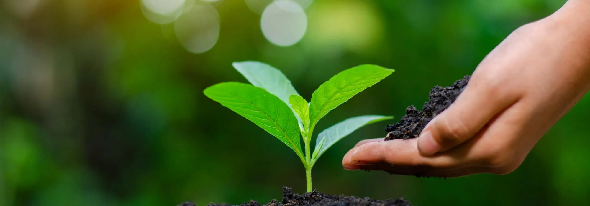 Ecosystem - Sensative